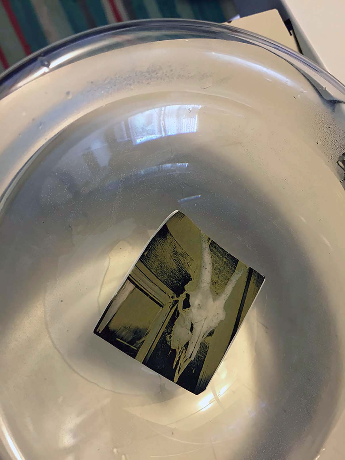 Warning: Glass is Addictive! Creating fused glass with photographic ...